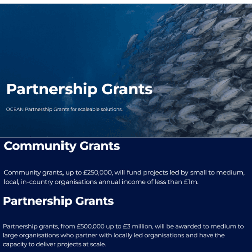 Ocean Community Empowerment and Nature (OCEAN) Grants Programme Second ...